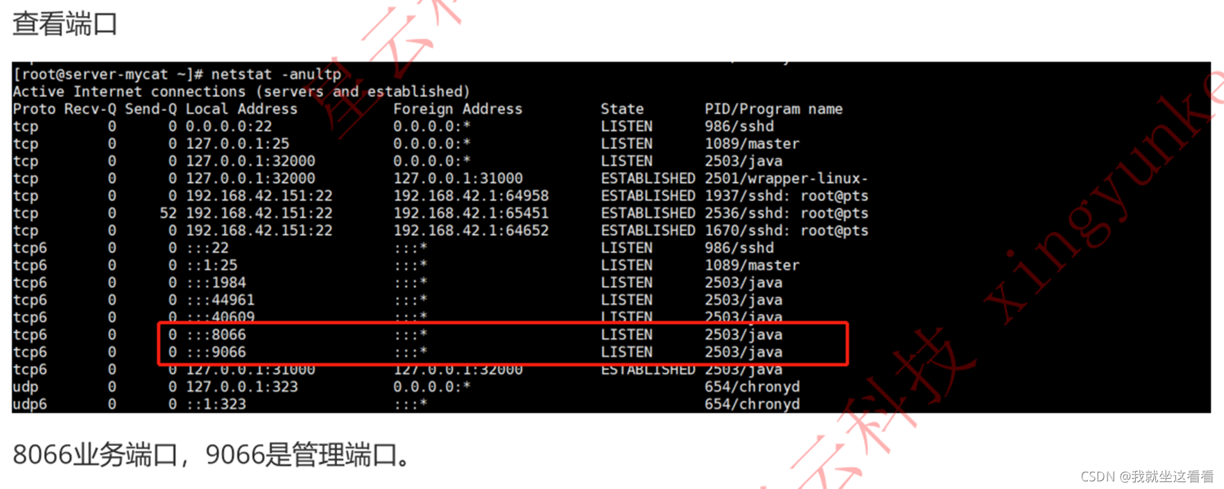 MysqL使用Mycat实现读写分离_mycat 缓存-CSDN博客