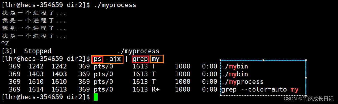 【Linux】中的进程（PCB）详解及查看方法_linux pcb-CSDN博客