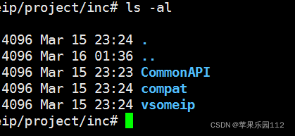 SOMEIP环境搭建以及Demo详细介绍_someip demo-CSDN博客