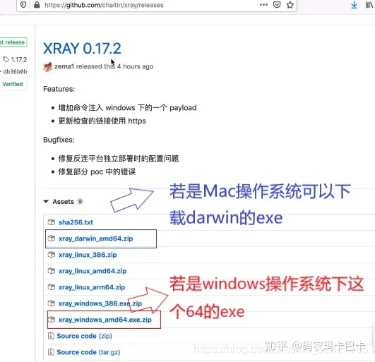 工具Xray的安装，入门的使用方法-CSDN博客