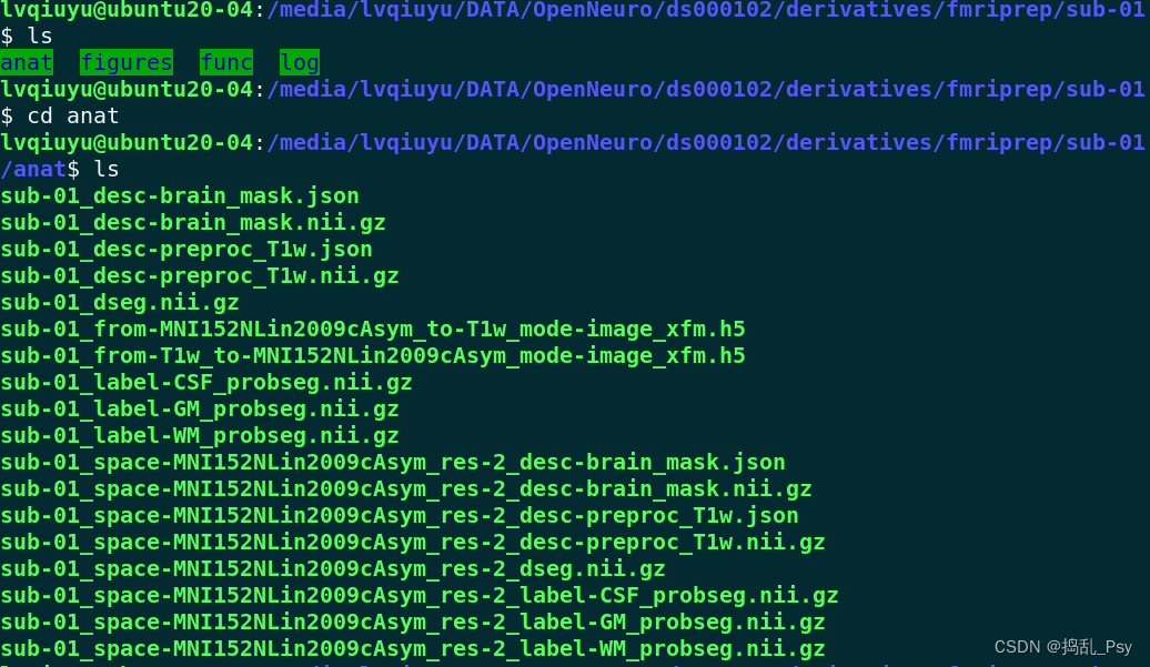 fMRI数据处理_预处理_3_批处理和结果解读_fmriprep-CSDN博客