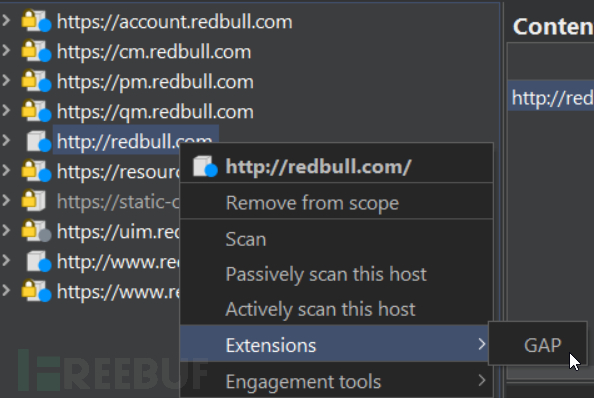 如何使用GAP-Burp-Extension扫描潜在的参数和节点_gapm-extension-CSDN博客