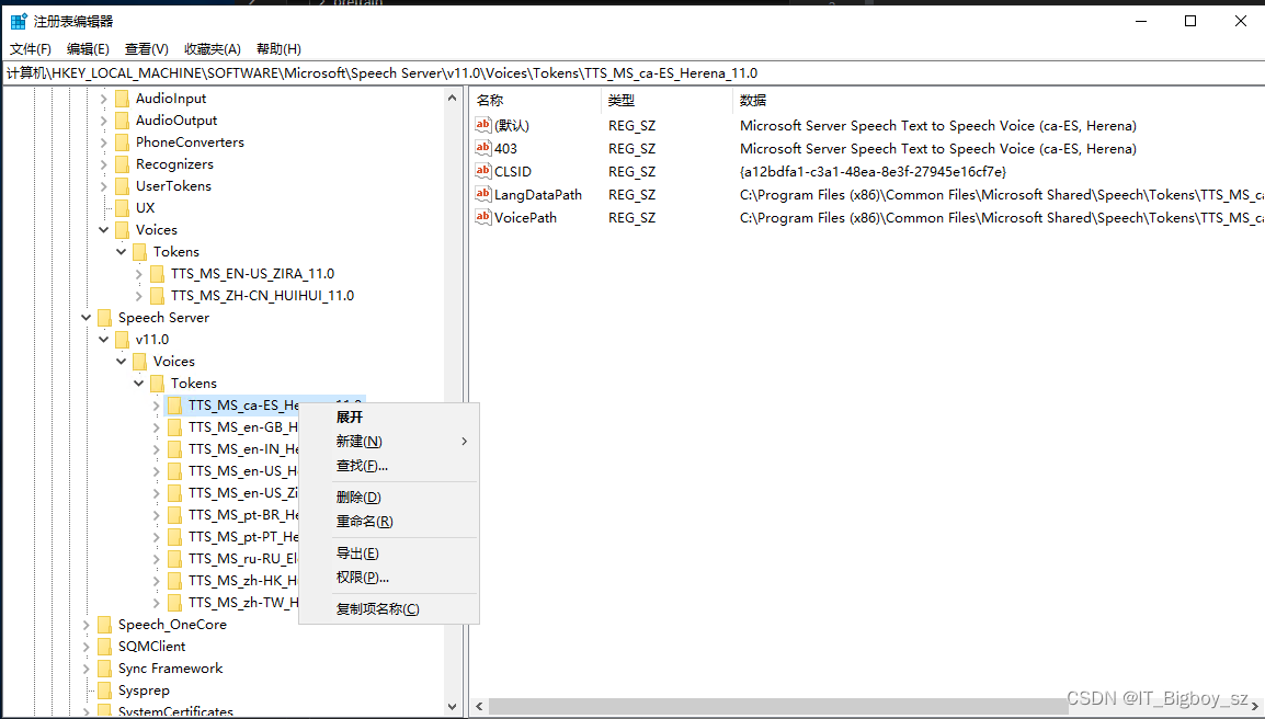 Python模块pyttsx3添加语音包_pyttsx3语音包-CSDN博客