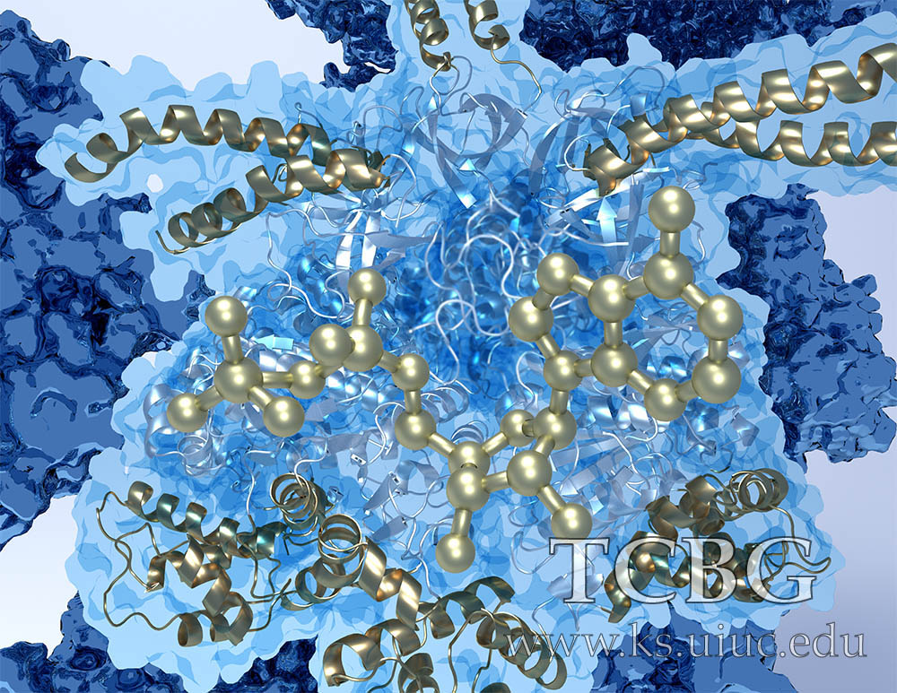 【LAMMPS学习】八、基础知识(1.2)可视化 LAMMPS 快照-CSDN博客
