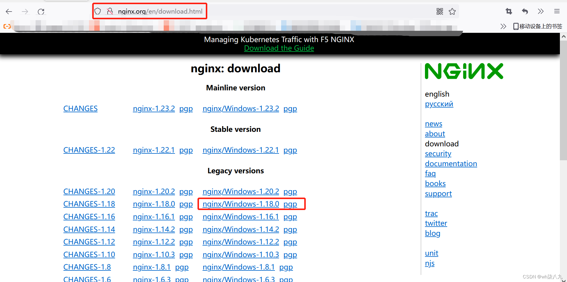 Nginx下载安装以及简单使用-CSDN博客