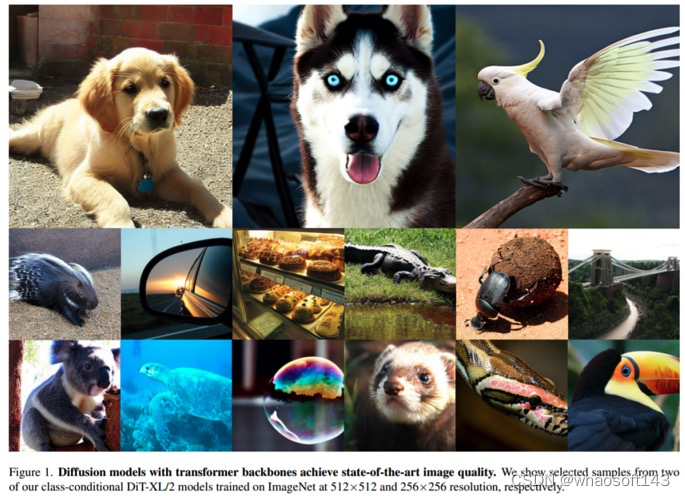 Transformers18~ Diffusion_transformer diffusion model-CSDN博客