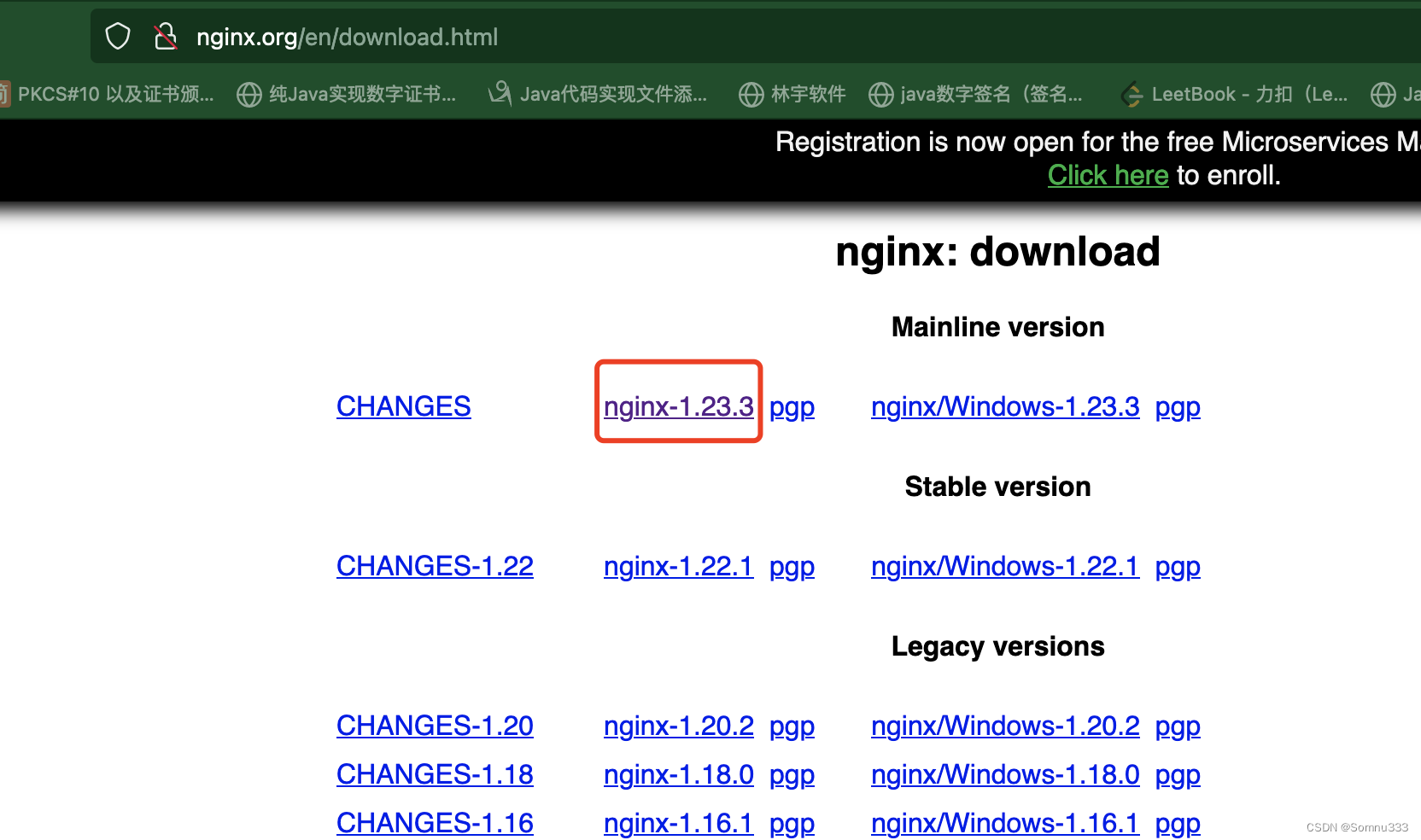 nginx安装教程-CSDN博客