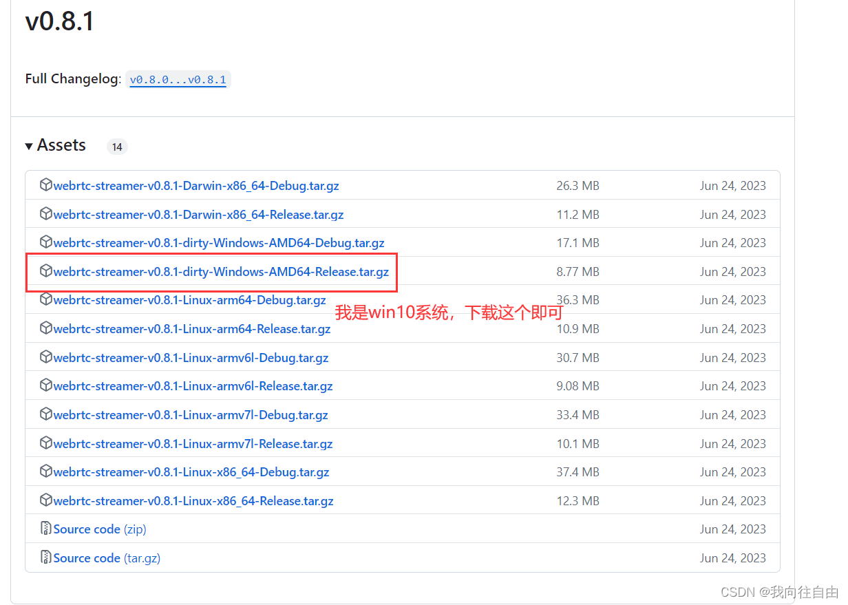【Vue】webrtc-streamer实现rtsp视频流浏览器实时播放-CSDN博客