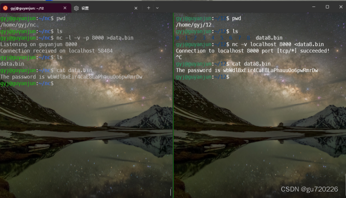 Wargames与bash知识08-CSDN博客