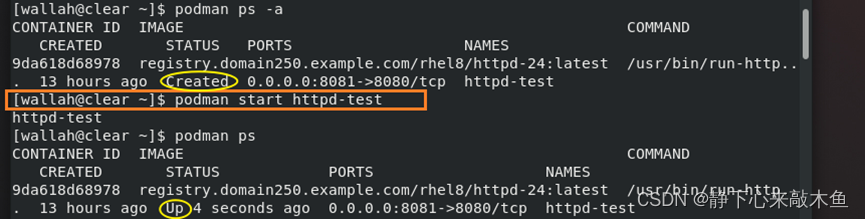 Linux Podman容器介绍_podman创建容器-CSDN博客