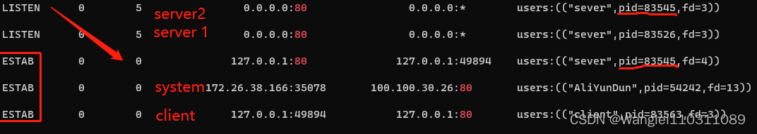 SO_REUSEADDR 和 SO_REUSEPORT 的区别和用法实例详细探究讲解_soreuseaddr可以解决timewait吗-CSDN博客