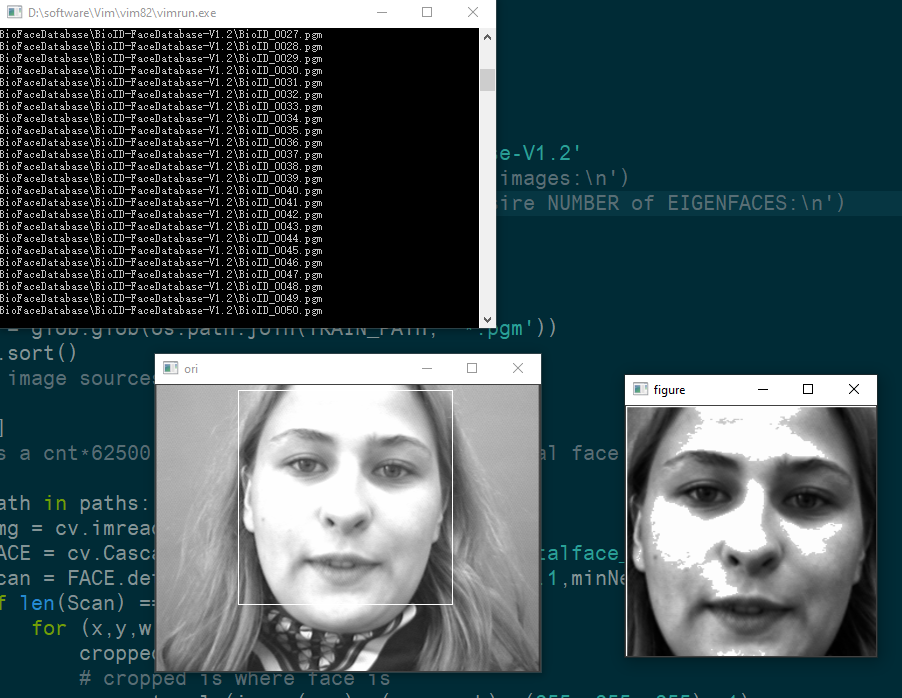 基于Python实现Eigenface人脸识别、特征脸识别_python eigen face-CSDN博客