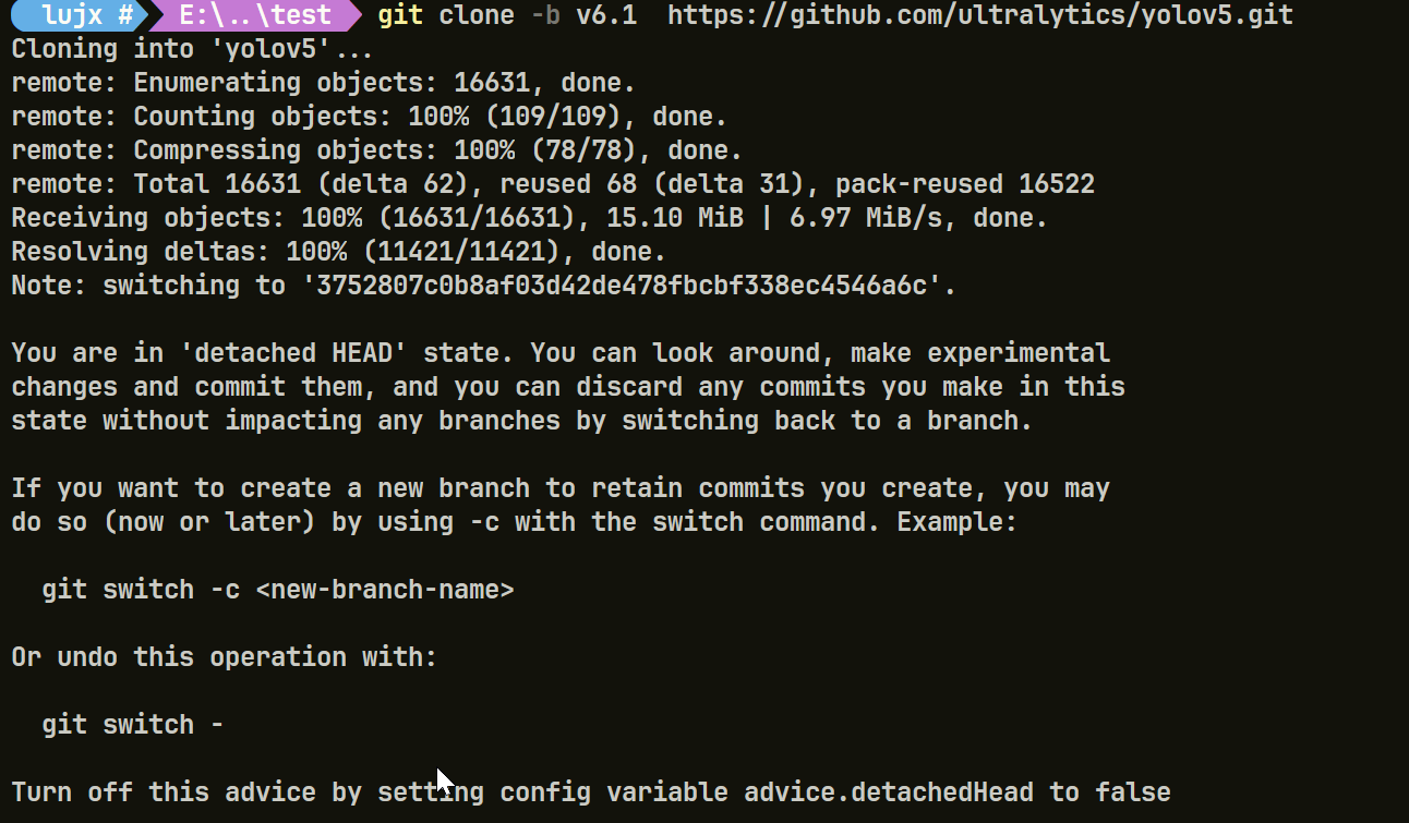 Windows系统部署YOLOv5 v6.1版本的训练与推理环境保姆级教程_yolov5.6.1-CSDN博客