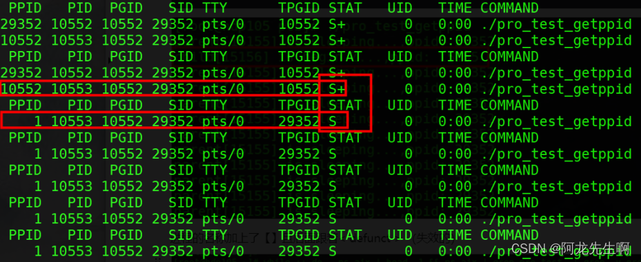 【Linux】进程查看|fork函数|进程状态_linux获取fork状态-CSDN博客