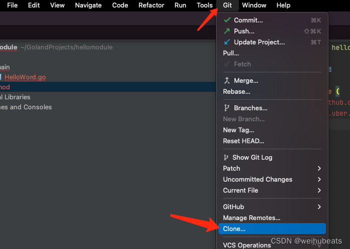 GoLand 如何clone github或远程仓库代码_golang没看到git拉去代码的按钮-CSDN博客