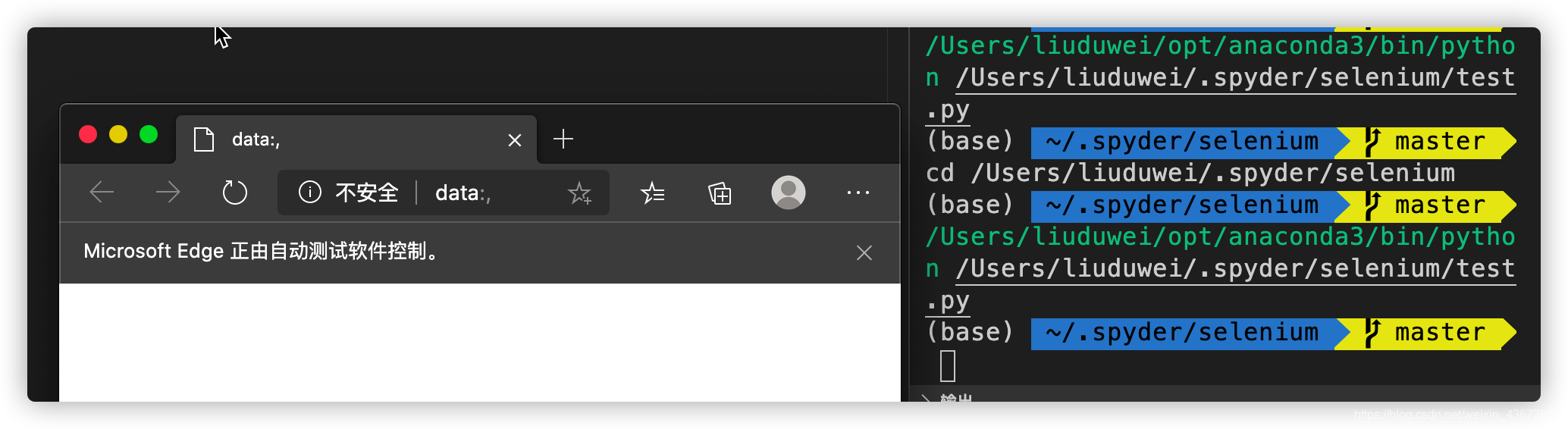 Mac + 新版Edge + selenium3+python3报错：No matching capabilities found-CSDN博客