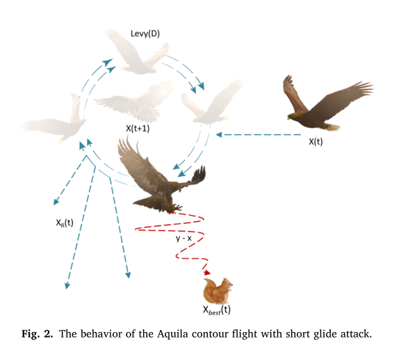 【智能优化算法】Aquila Optimizer：一种元启发式优化算法-CSDN博客