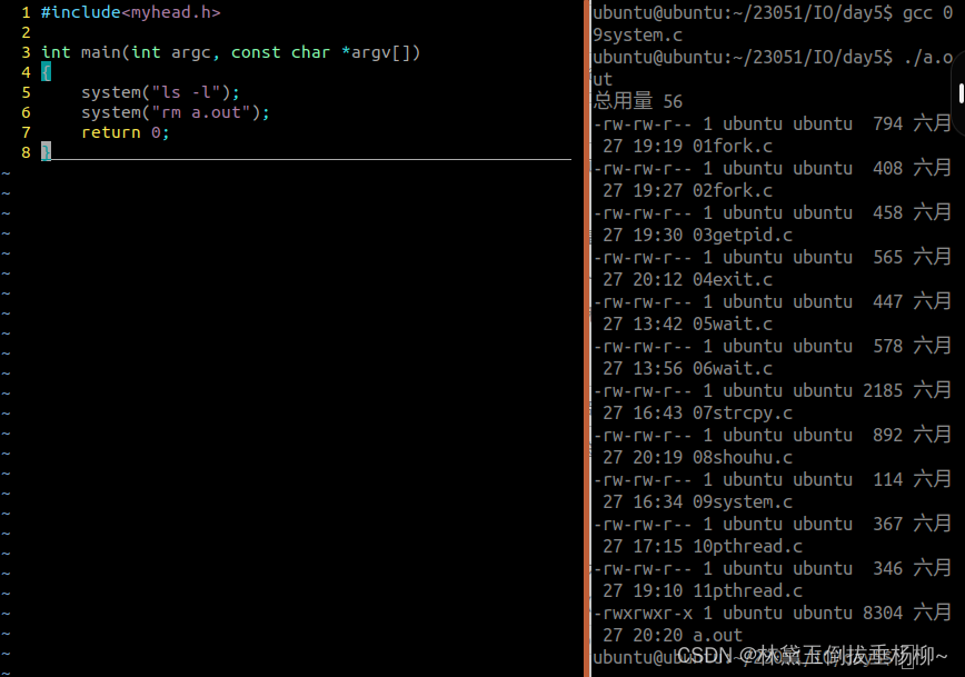 IO-day5-进程、线程-CSDN博客