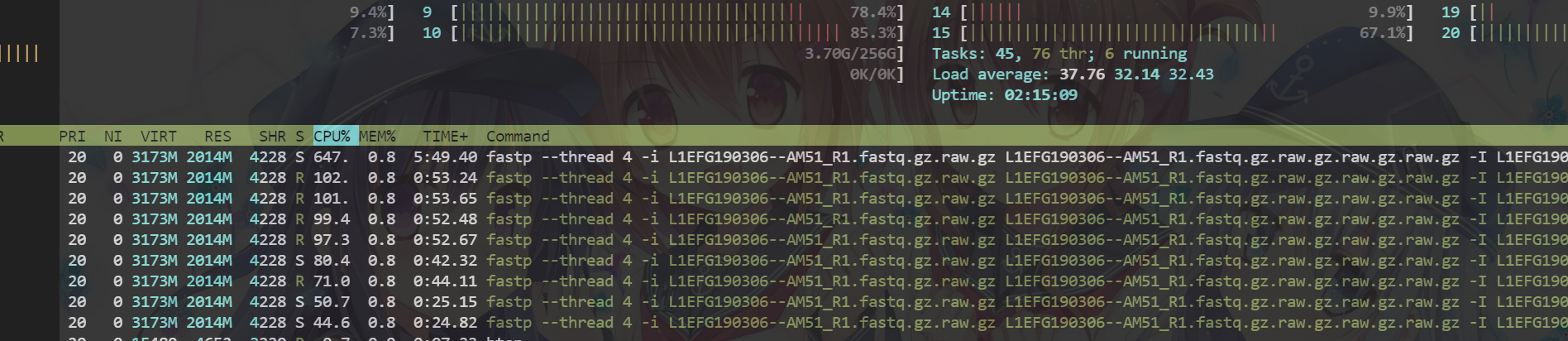 metaGEM使用小记(解决各种问题)2024 2（二）_sbatch: error: batch job submission failed: reques-CSDN博客