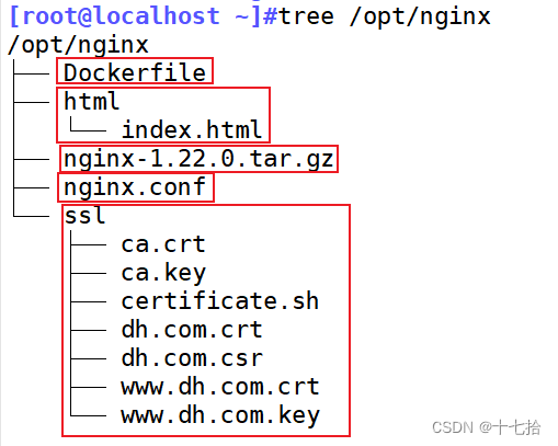 基于 Dockerfile 部署nginx服务（实现HTTPS功能）_dockerfile nginx-CSDN博客