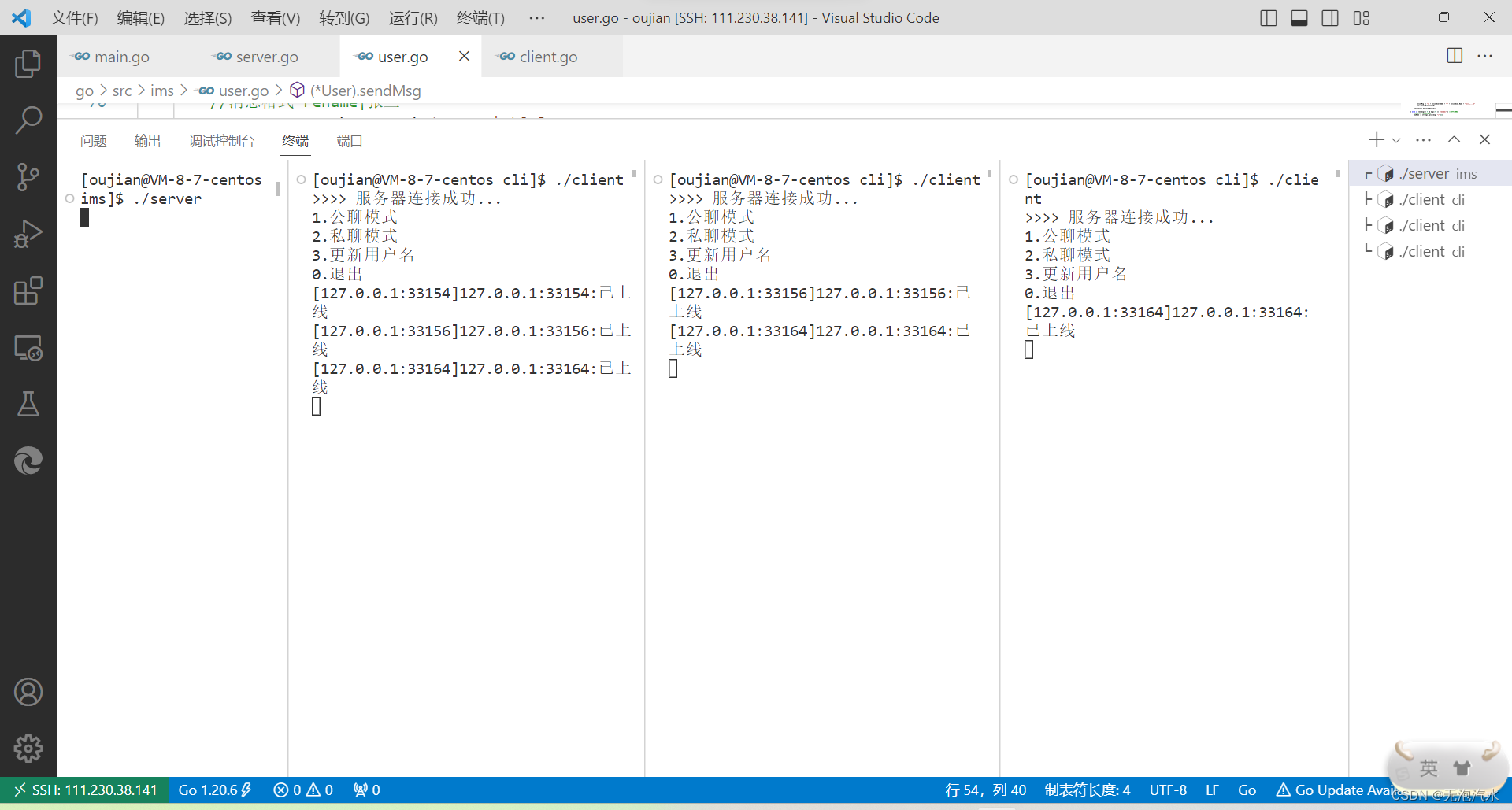 Golang开发的即时通讯系统_golang聊天系统-CSDN博客