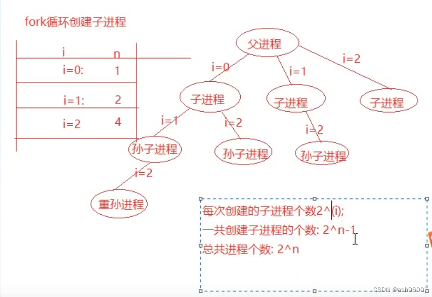Linux学习 fork()函数_experiment 1 linux processes ex 1.1 fork() search -CSDN博客