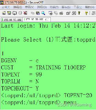 鼎捷T100二次开发干货之环境架构-CSDN博客