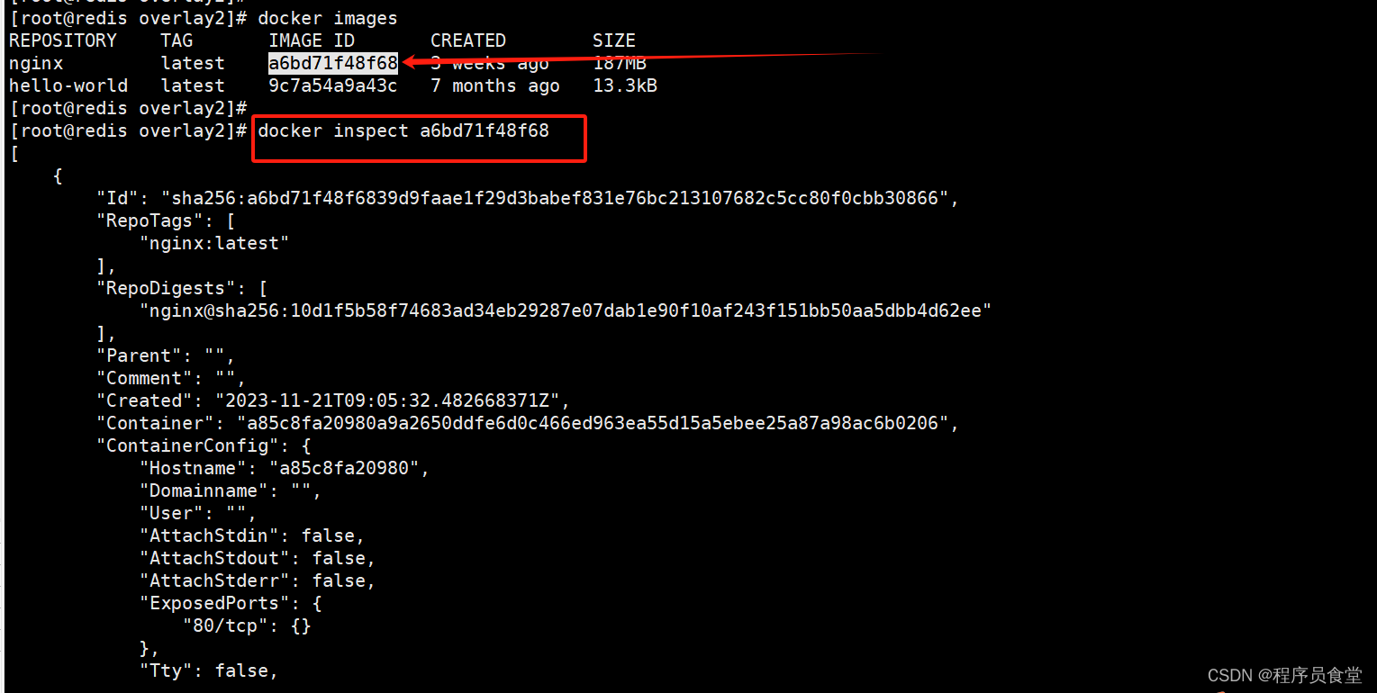 【docker】镜像使用（Nginx 示例）_docker nginx 镜像-CSDN博客