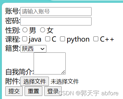 Web——HTML_webhtml-CSDN博客