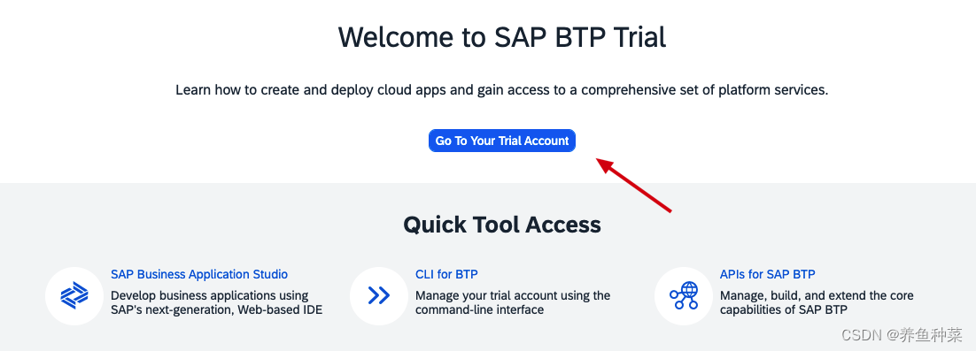 BTP上的ABAP开发（1）环境搭建_abap btp-CSDN博客