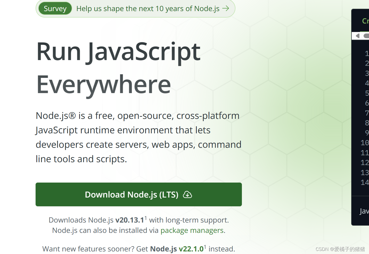 安装NodejS_nodejs 华为源-CSDN博客