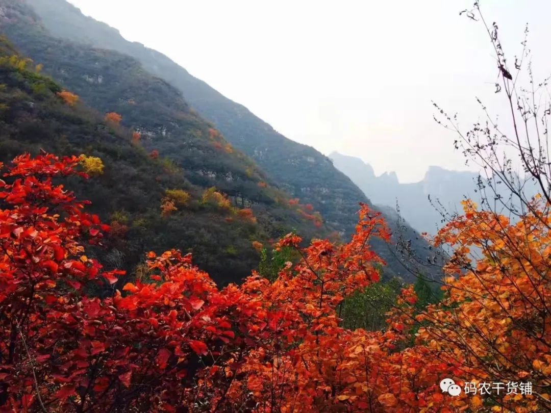 CDS相关资料整理(九) CDS视图中的算术函数-CSDN博客