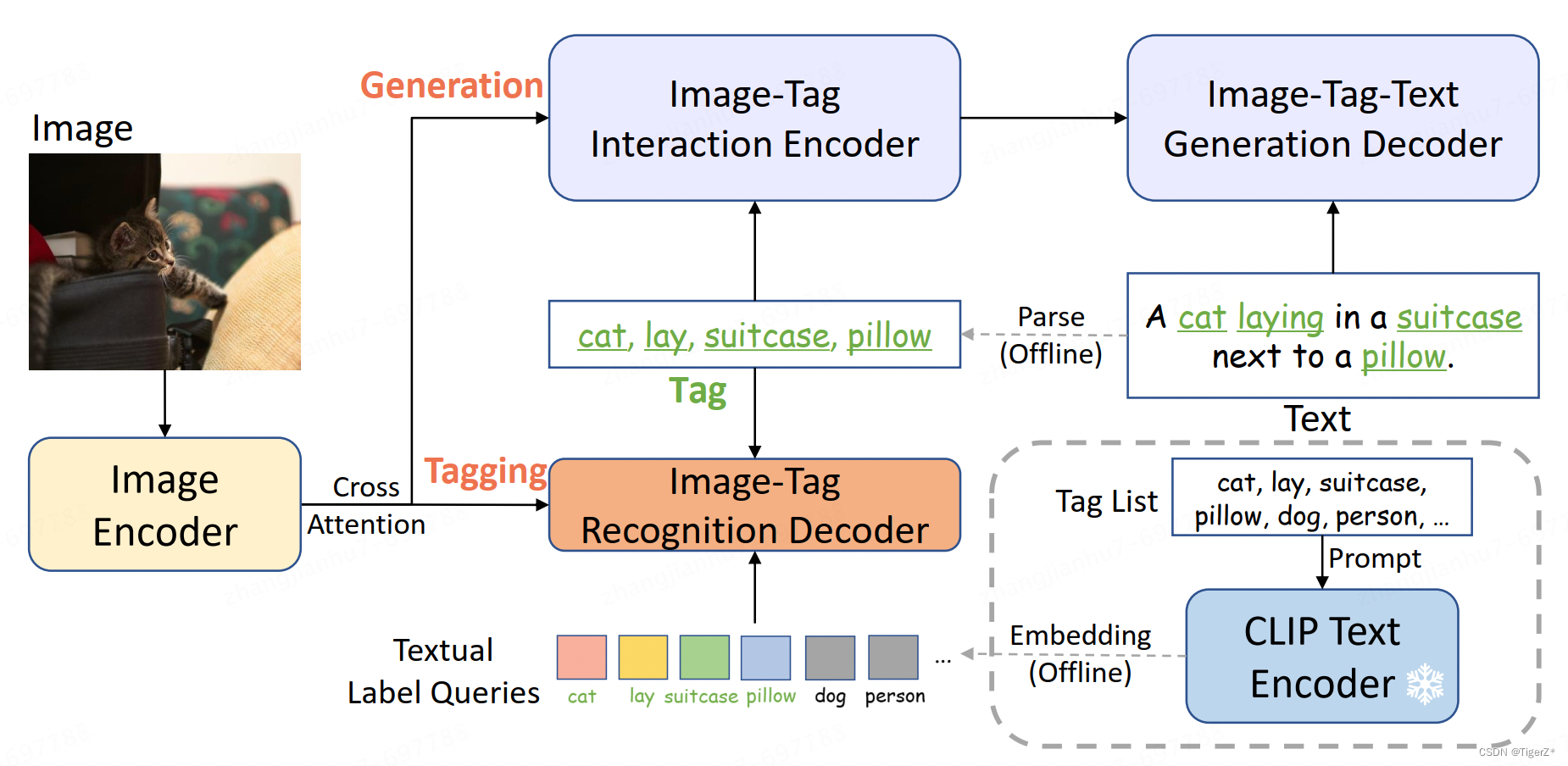 VLM 系列——RAM（recognize anything）—— 论文详解_recognize anything: a strong image tagging model-CSDN博客