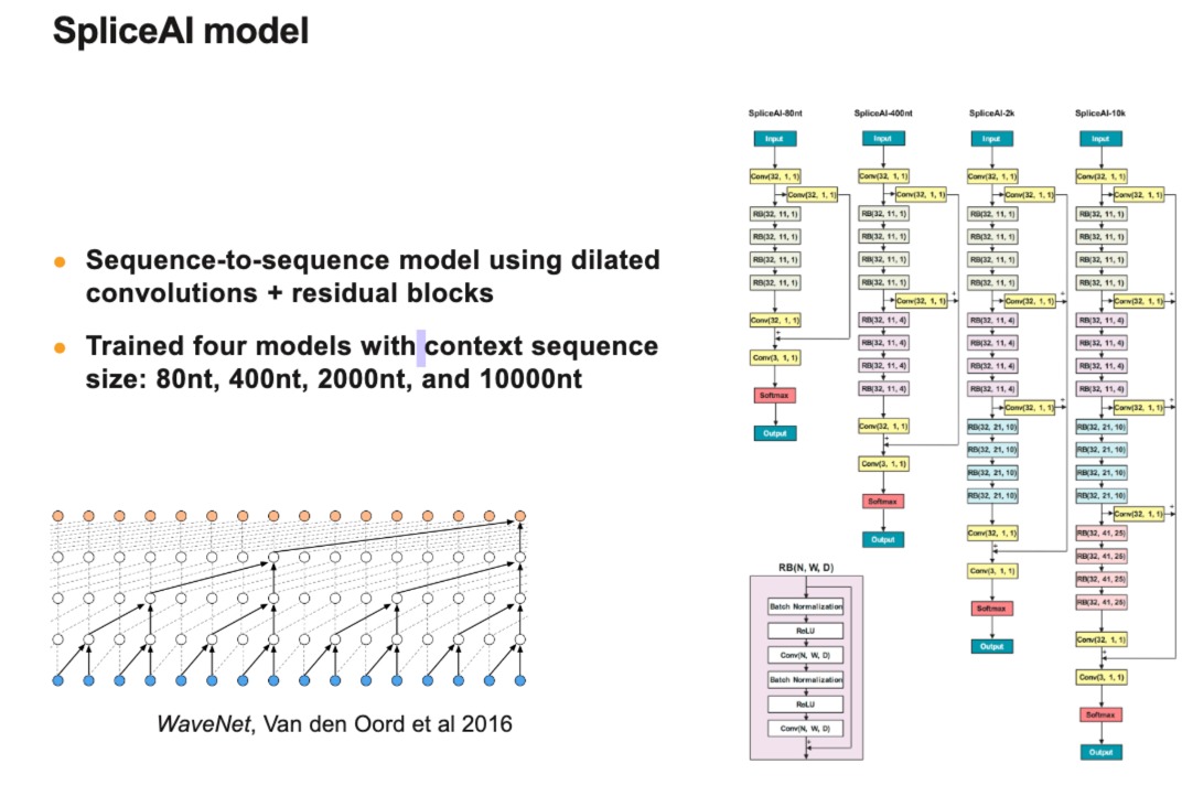 【Gene Expression Prediction】Part4 Predicting splicing from primary sequence_splice acceptor-CSDN博客
