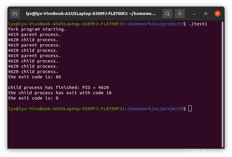 操作系统实验——简单理解fork()与execve()的使用与区别（附源码）_execve和fork区别-CSDN博客