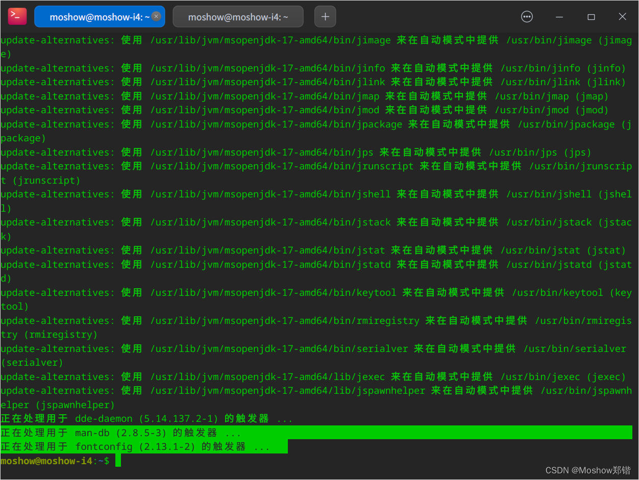 DeepinV20安装MSJDK17_deepin openjdk17-CSDN博客