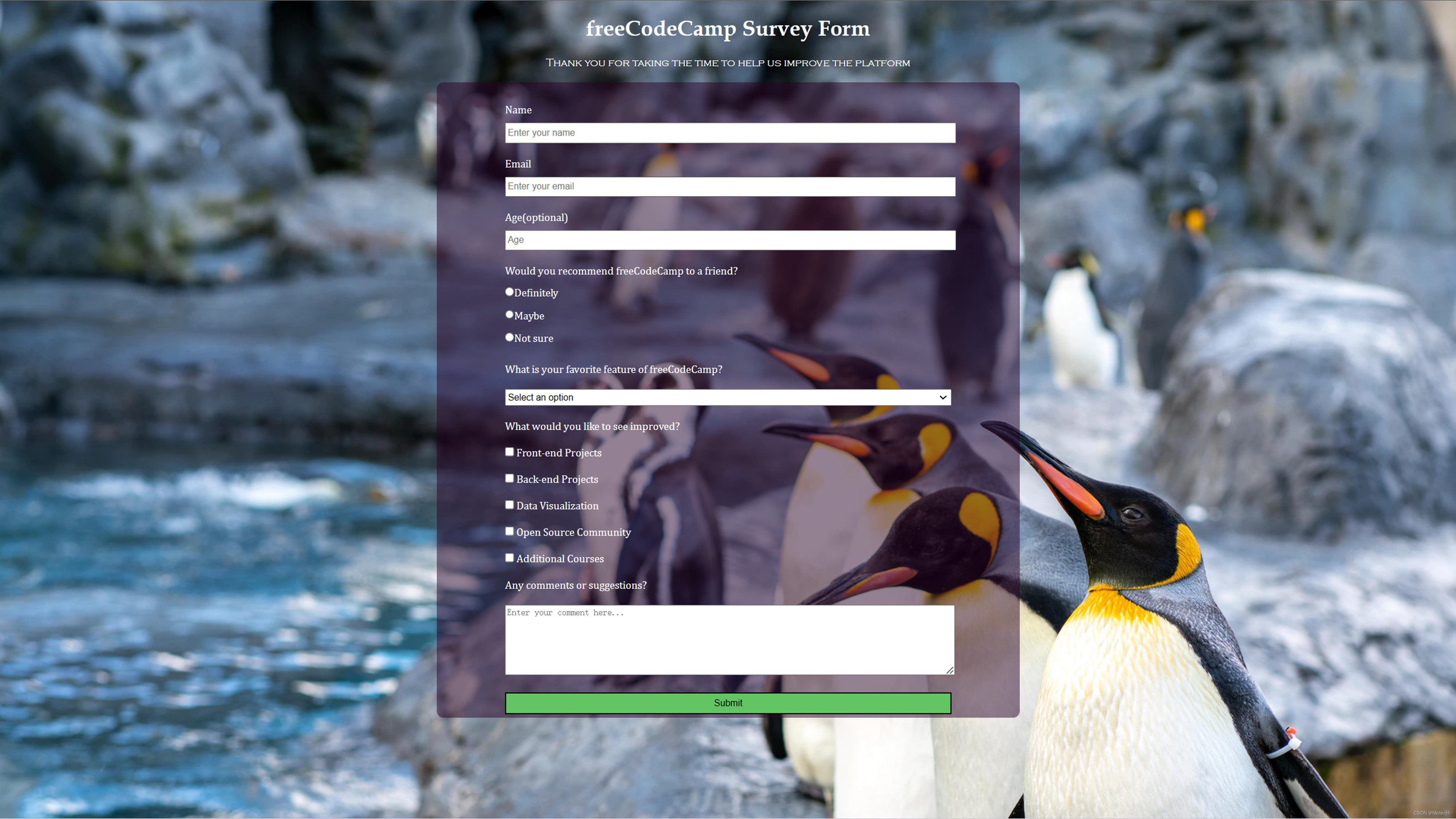 freeCodeCamp | Survey Form_freecodecamp调查表单-CSDN博客