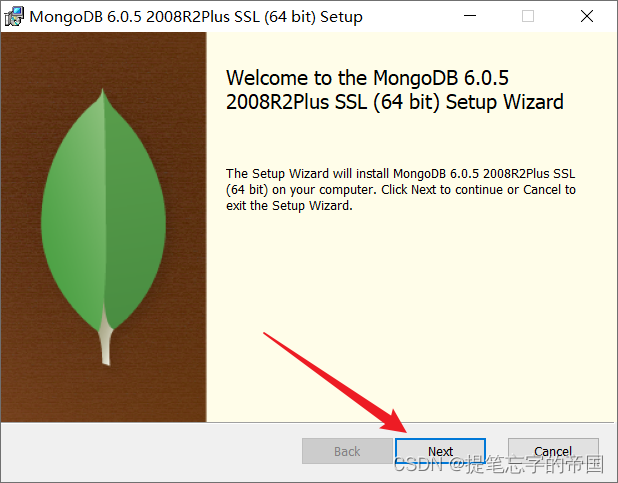 【MongoDB】windows安装MongoDB6.0.5+可视化界面软件_mongodb可视化界面-CSDN博客