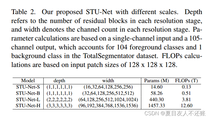 STU-Net_stunet-CSDN博客
