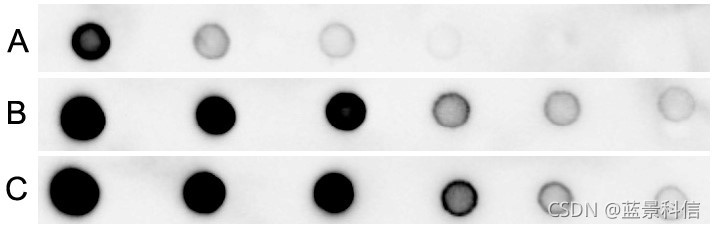 筛选鉴定与已经基因启动子相互作用的DNA结合蛋白-DNA Pull Down实验原理，技术流程_dnapulldown探针一般多长-CSDN博客