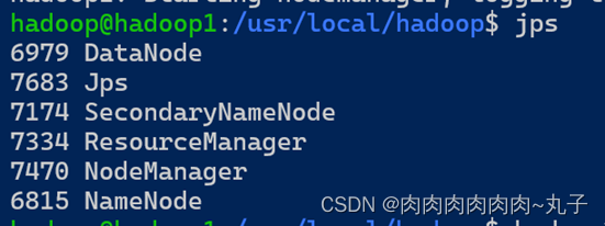 Hadoop集群启动后,在web:50070端口只有两个datanode节点_jps - 只有两个节点-CSDN博客