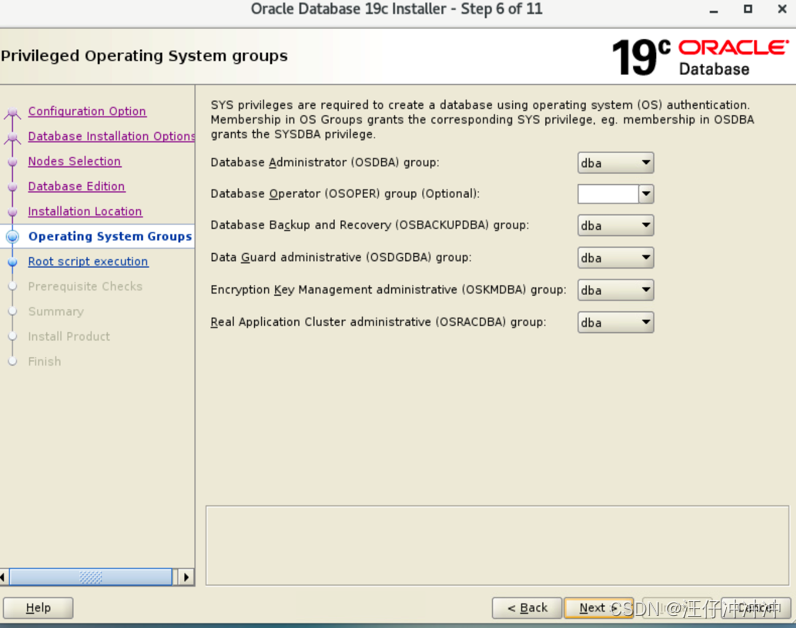oracle 19c rac搭建详细攻略_oracle19c数据库实例-CSDN博客