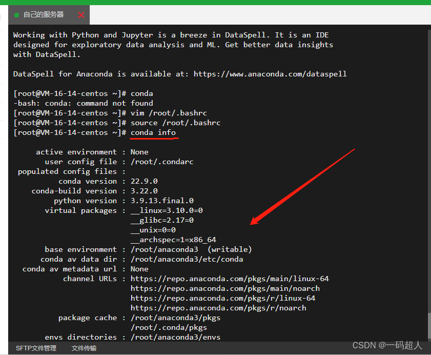 宝塔centos7安装Conda-CSDN博客
