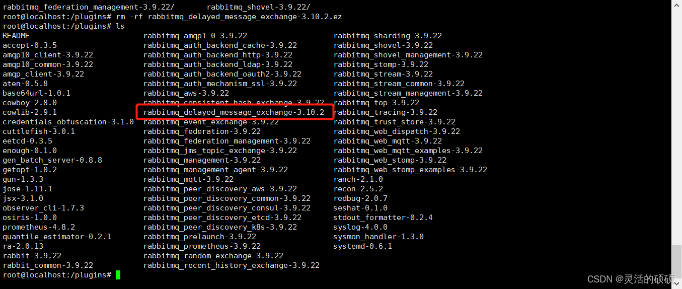 linux中向docker容器内部复制文件 配置rabbitmq_delayed_message_exchange-3.10.2插件_rabbitmq-delayed-message ...