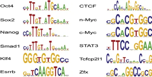 单细胞个性化分析之转录因子篇_netact代码实操之单细胞转录因子分析-CSDN博客