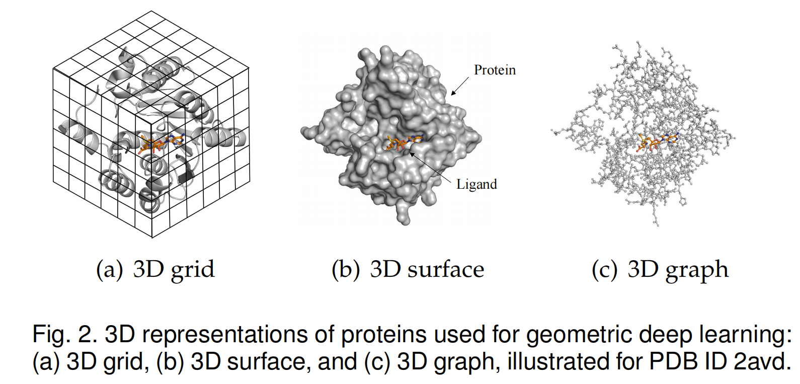 SBDD Protein and Ligand Representation（SBDD蛋白质和配体的表示）_geometric deep ...