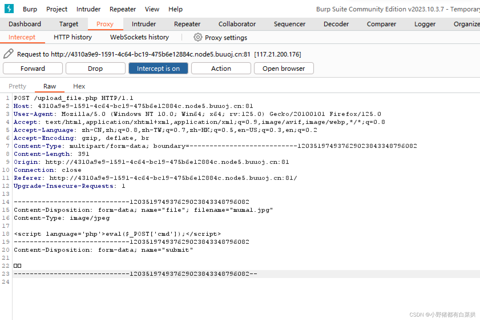 [极客大挑战 2019]Upload--BUUCTF-CSDN博客