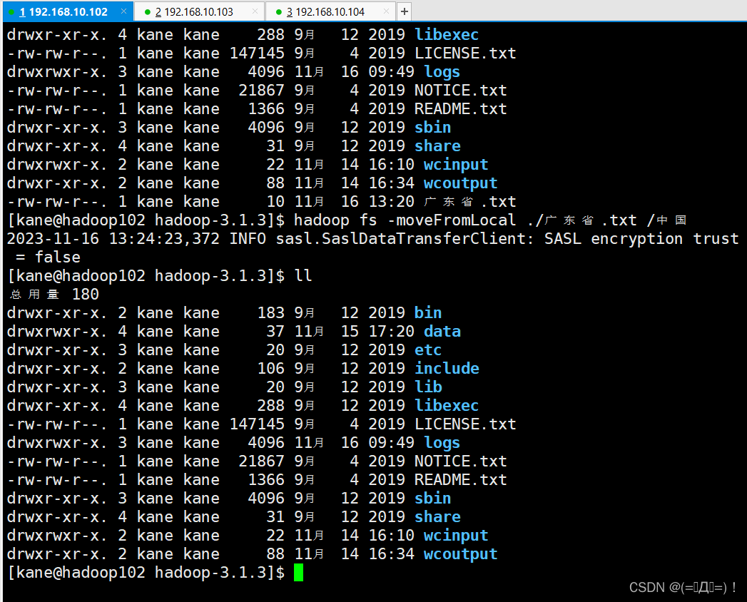 Hadoop 之 HDFS 的Shell操作（开发重点）06_usage: hadoop fs [generic options] -put [-f] [-p] -CSDN博客
