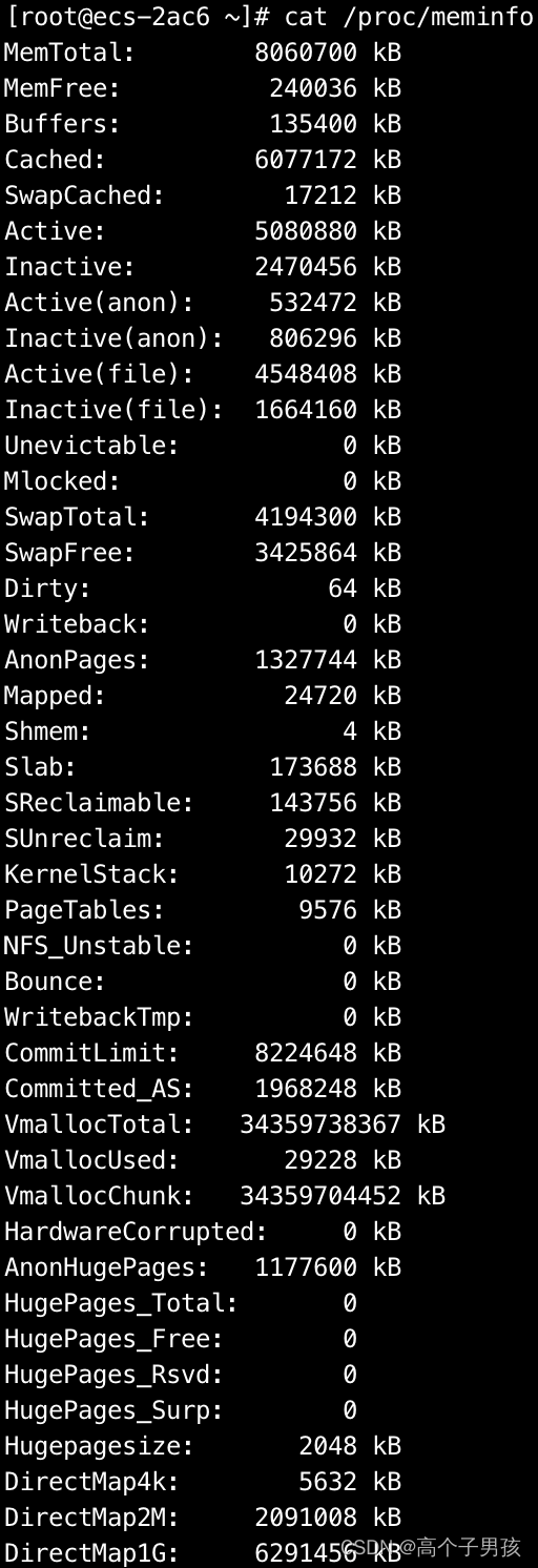 常用Linux命令的基本使用_linux lsof 查看远程端口是否可以ping-CSDN博客