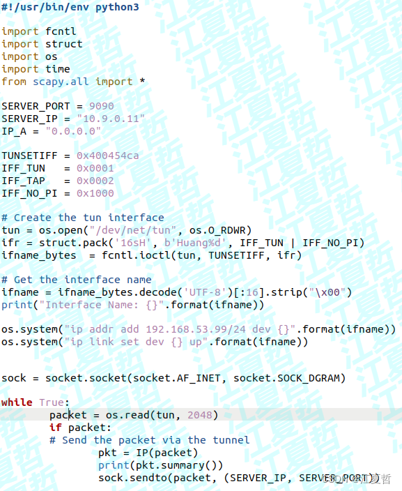 V*N Lab: The Container Version_v*n lab: the container version(seed labs)-CSDN博客